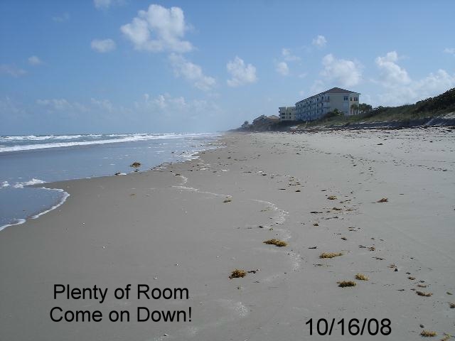 Around the Park 2009